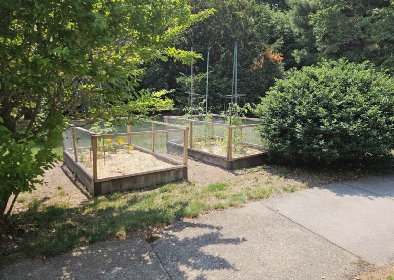 Newton changes zoning to ease placement of raised garden beds - Fig ...